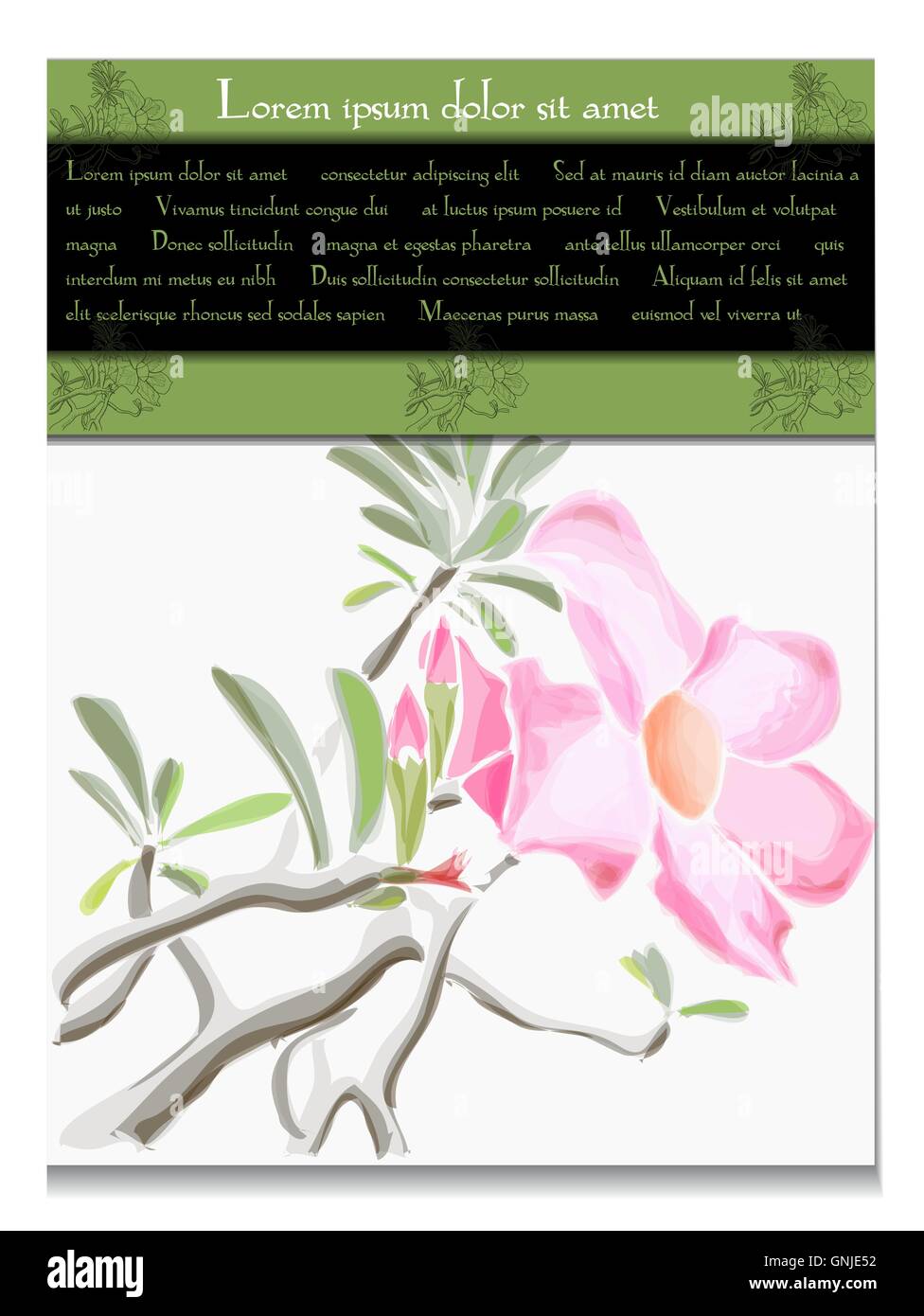 Ornate catalog cover Stock Vector Images - Alamy