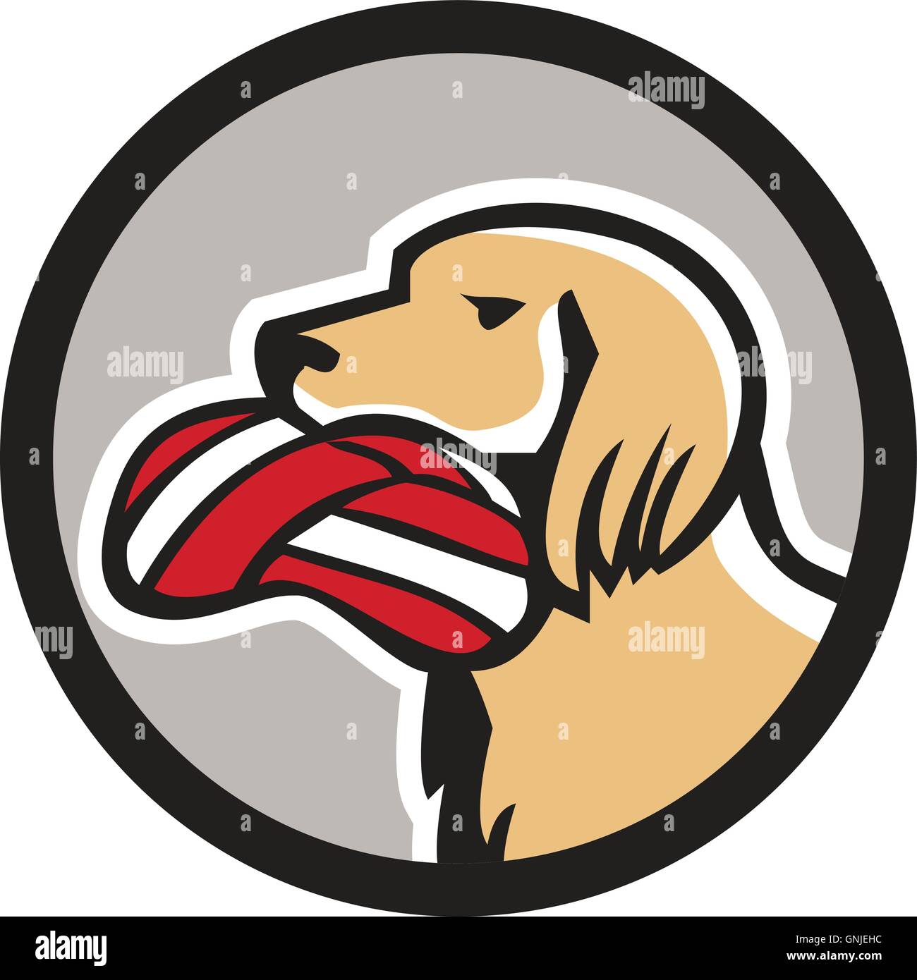 Volleyball setter Stock Vector Images - Alamy