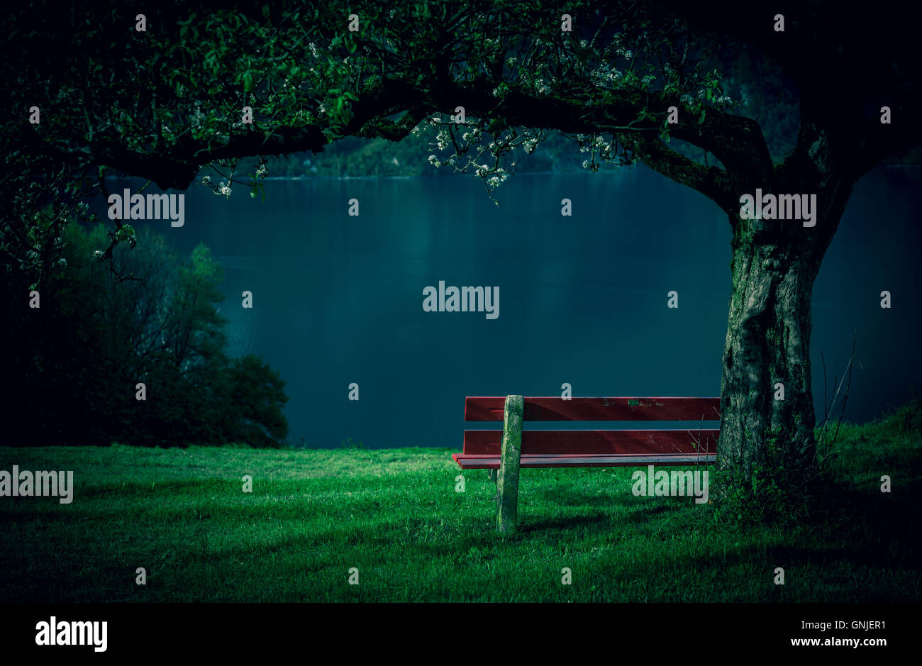 Wooden bench lights hi-res stock photography and images - Alamy