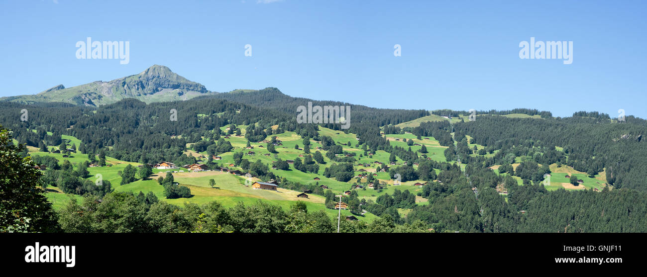 Switzerland Typical landscape panoramic view Stock Photo - Alamy