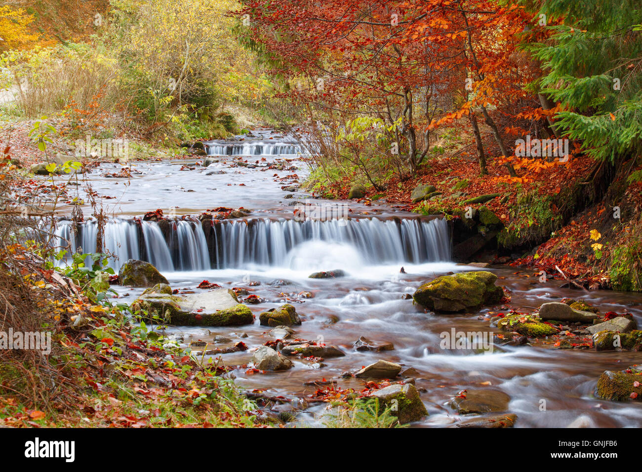 Beautiful forest cascade hi-res stock photography and images - Alamy