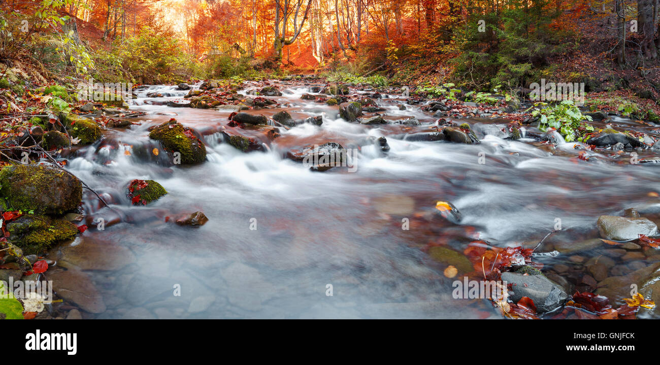Autumn forest, mountain stream. Beautiful , rocks covered with moss ...