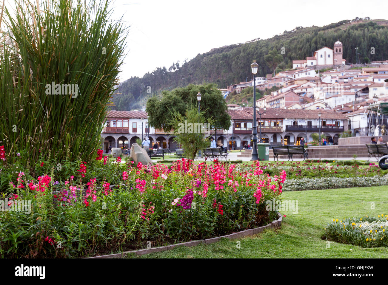 Cusco, Peru - May 13: Beautiful blooming flowers in the Plaza de Armas ...