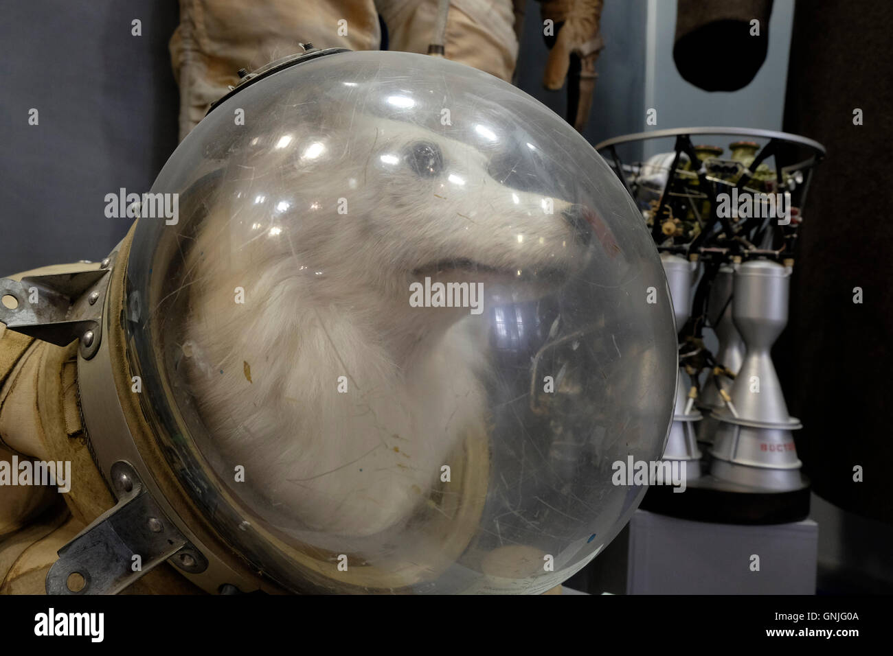 An old cosmonaut dog spacesuit used on suborbital rocket flights during ...