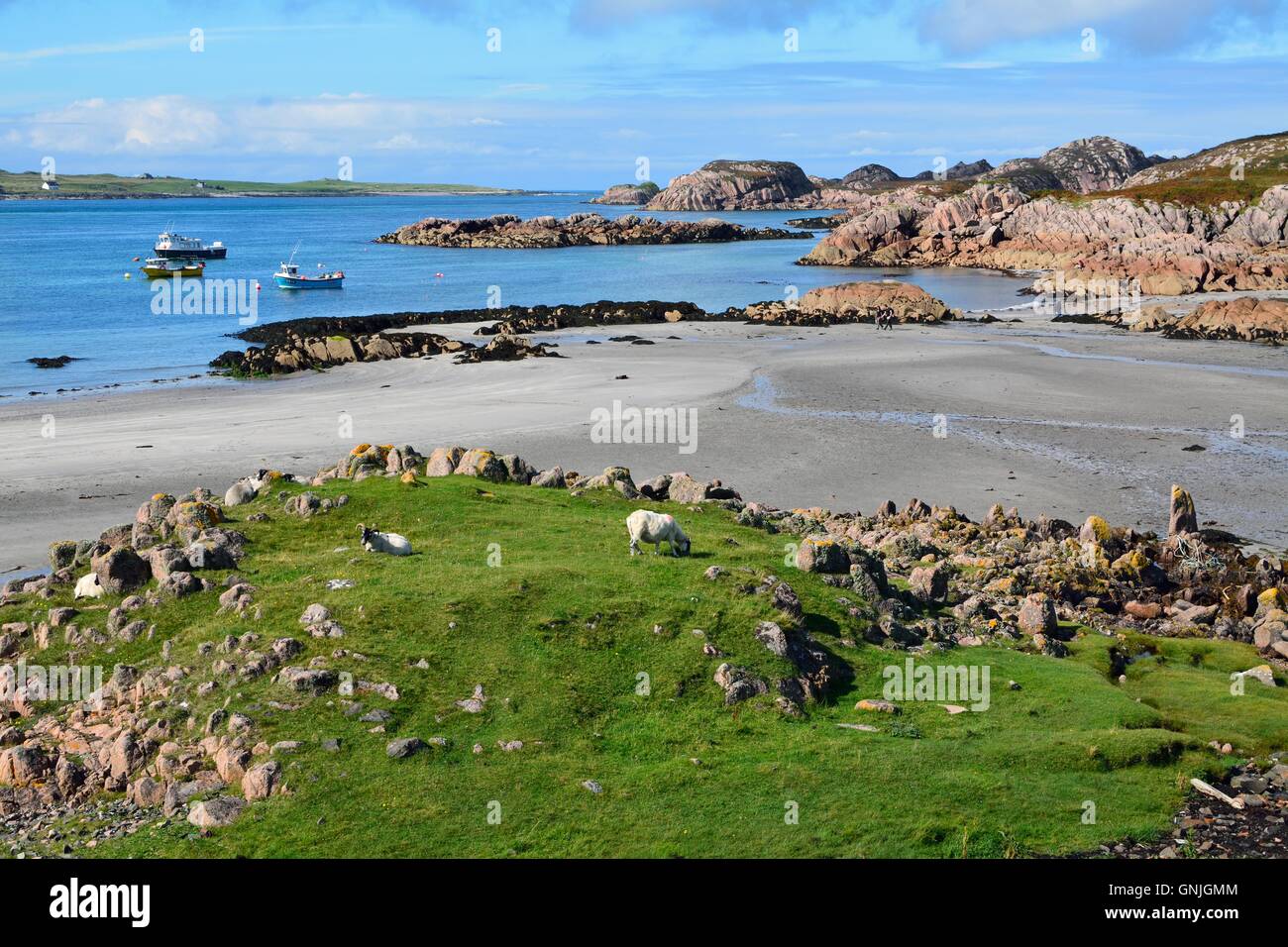 Fionnphort Beach, Isle of Mull Stock Photo - Alamy
