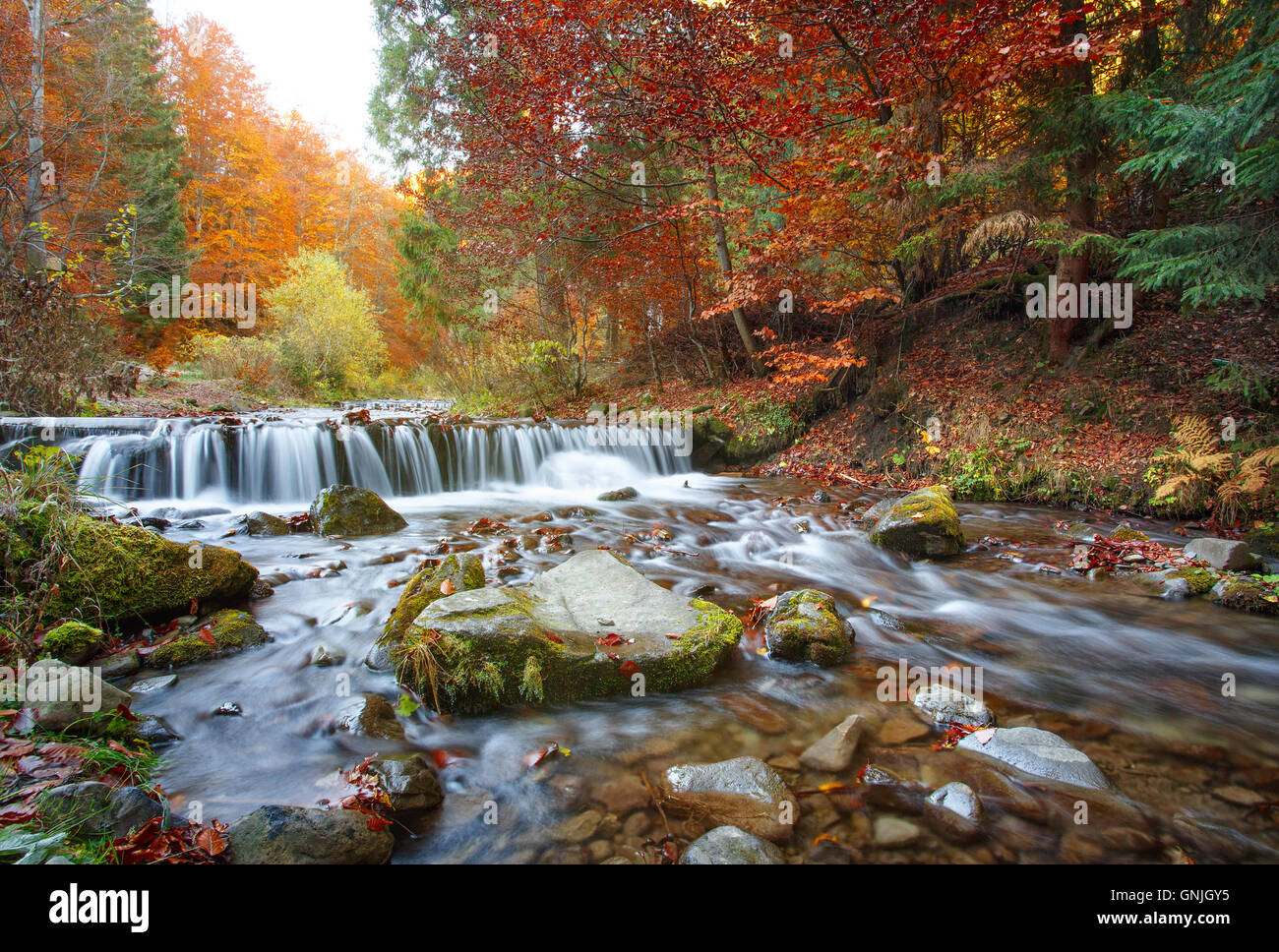 beautiful waterfall in forest, autumn landscape Stock Photo - Alamy