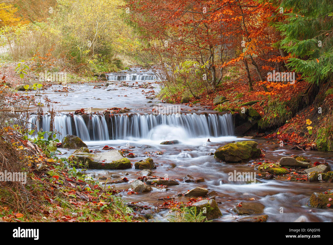 beautiful waterfall in forest, autumn landscape Stock Photo - Alamy