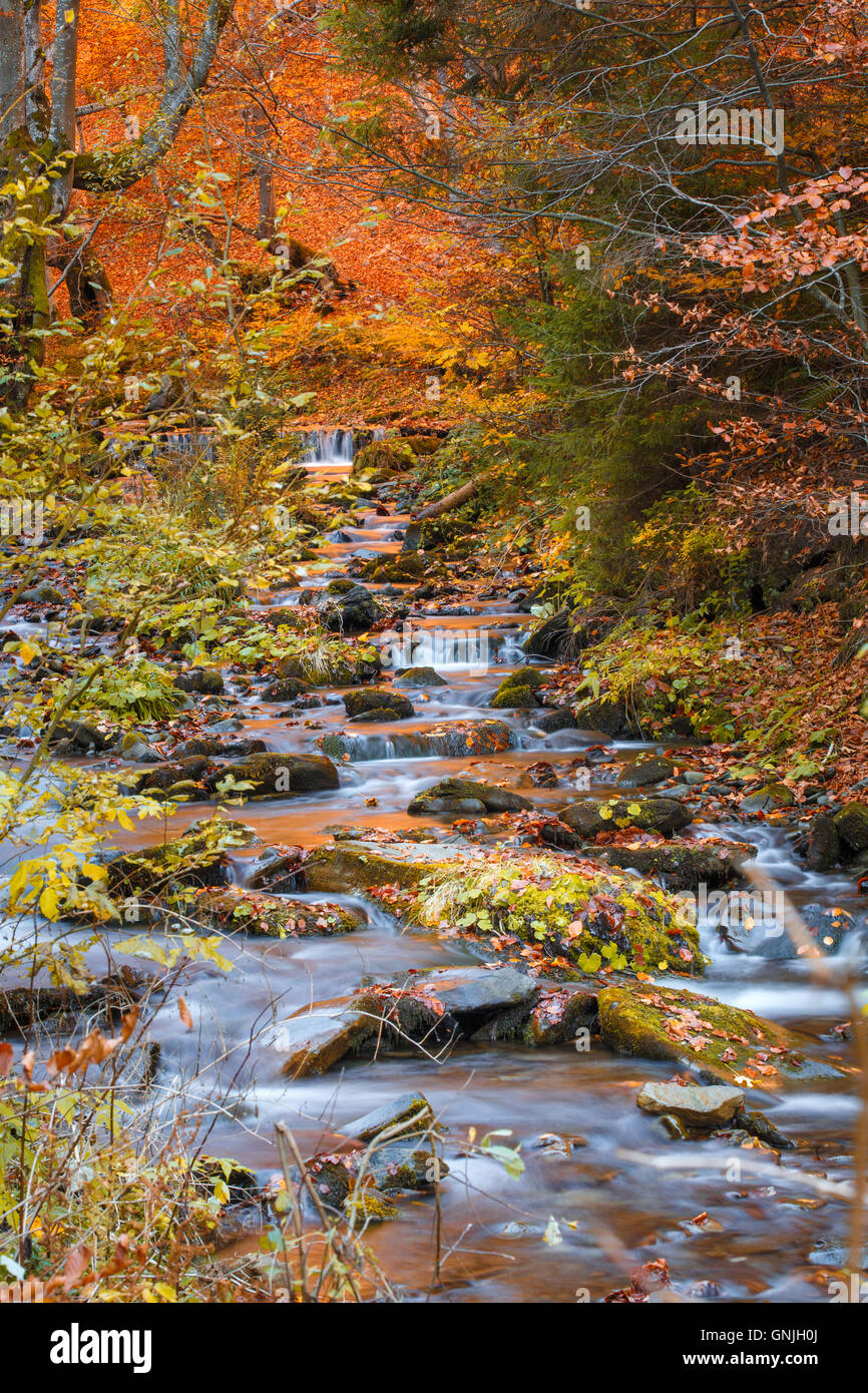 Mountain stream stones autumn yellow hi-res stock photography and ...