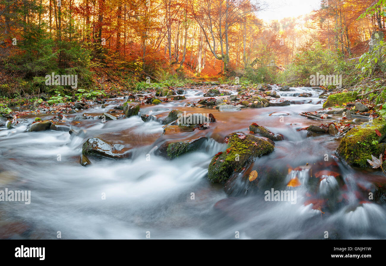Stream with beautiful rocks hi-res stock photography and images - Alamy
