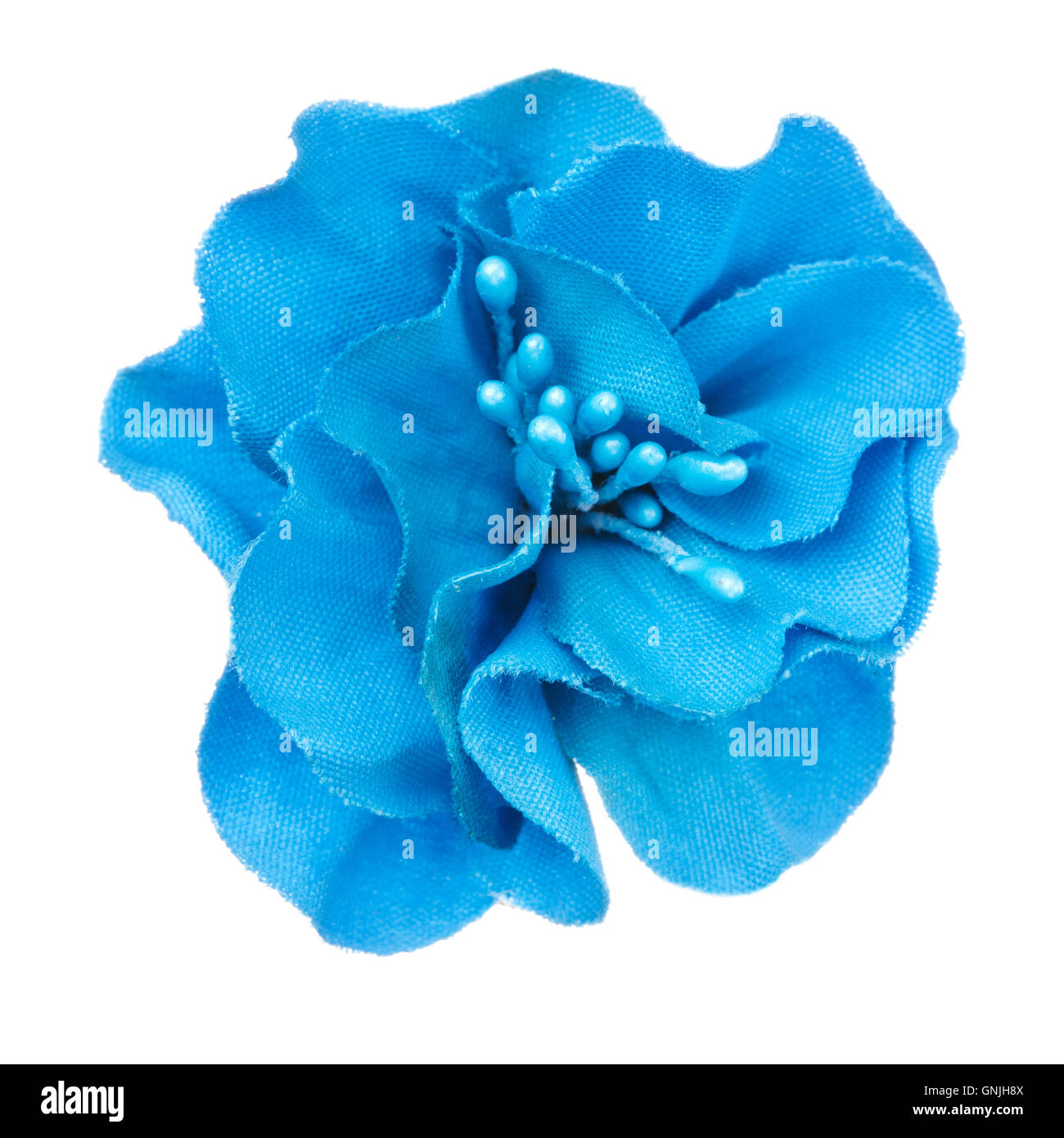 flower head isolated, beautiful decoration,top view Stock Photo - Alamy