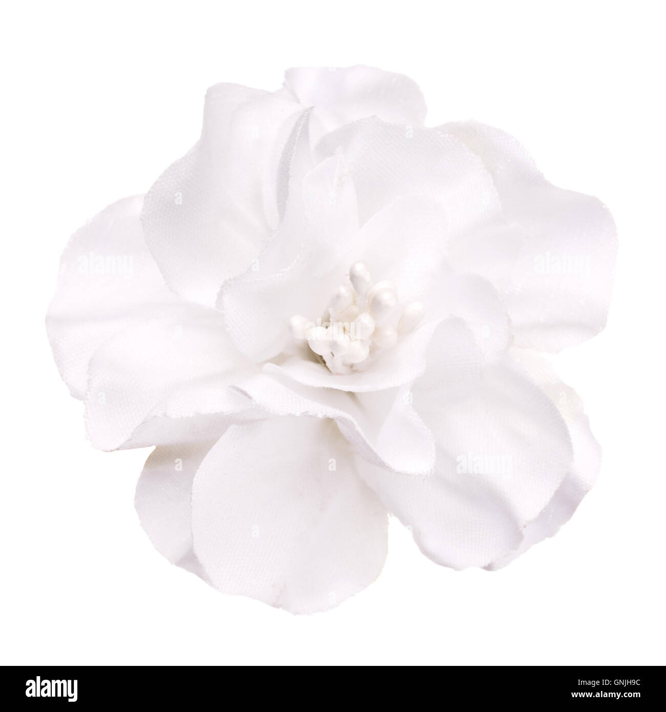 flower head isolated, beautiful decoration,top view Stock Photo - Alamy