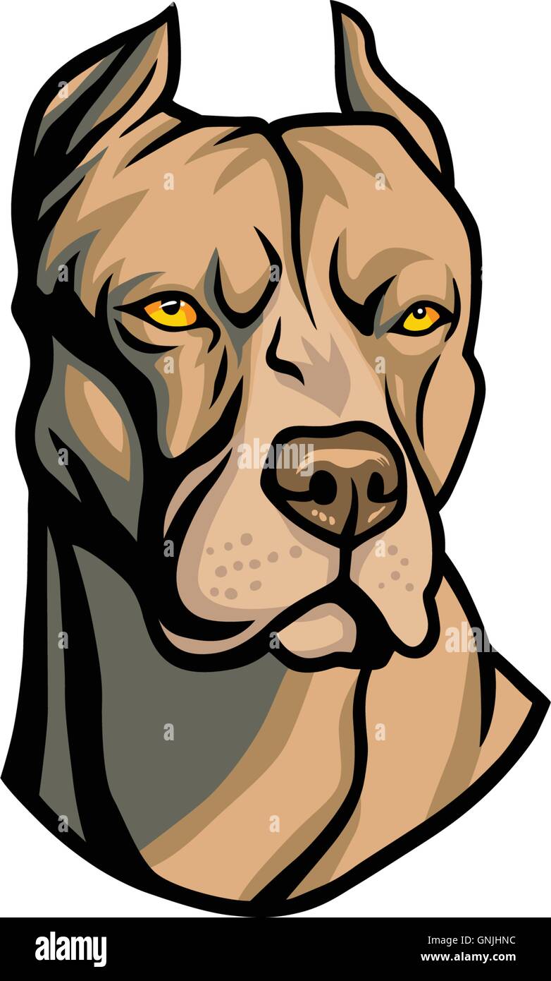 Pit Bull Head Vector Stock Vector Image & Art - Alamy