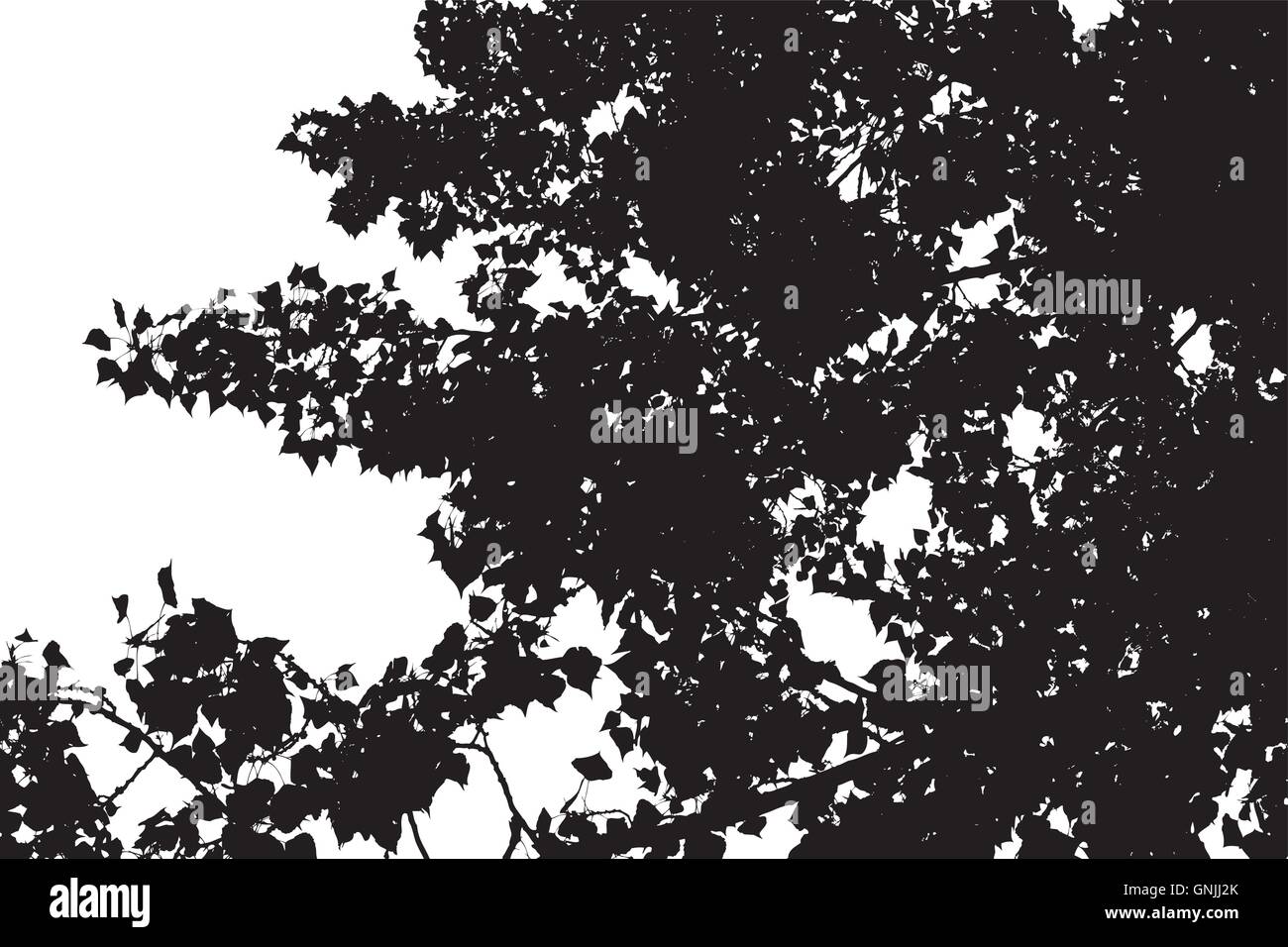 Tree Branches Background Stock Vector Image & Art - Alamy