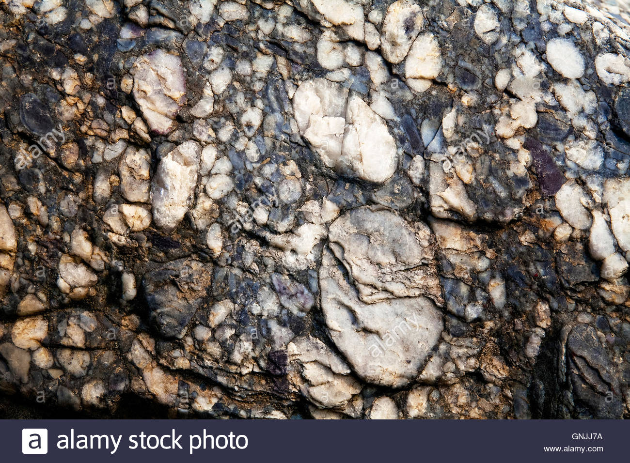 Metaconglomerate Stock Photos & Metaconglomerate Stock Images - Alamy