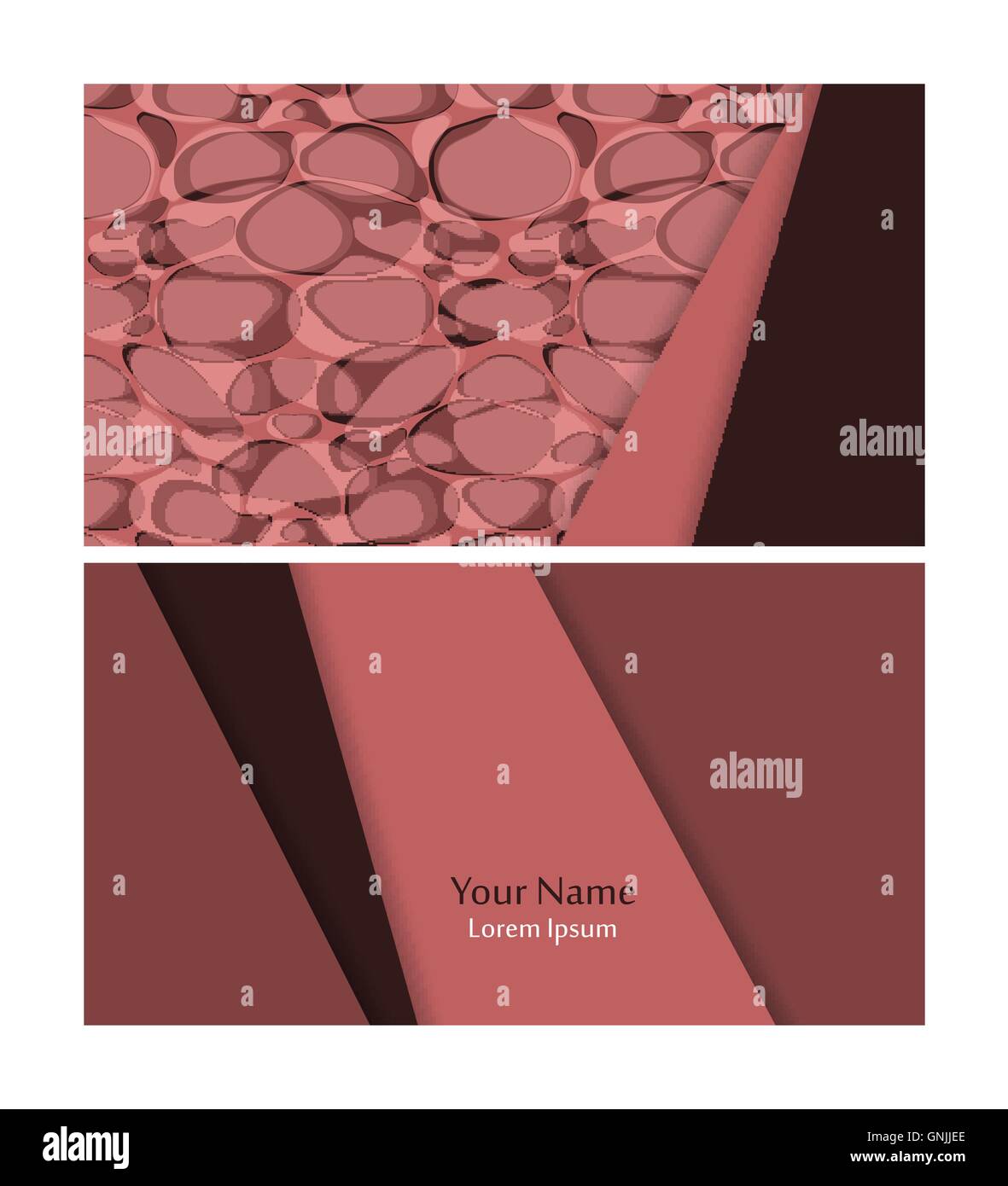vector business card Stock Vector Image & Art - Alamy