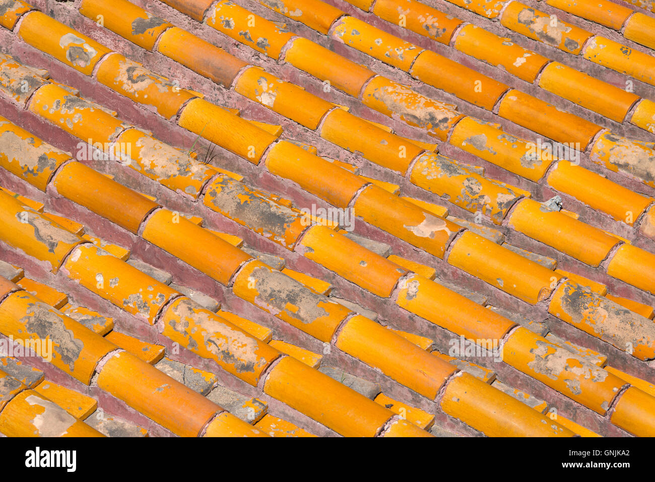 Roof Texture at Forbidden City in Beijing, China Stock Photo - Alamy
