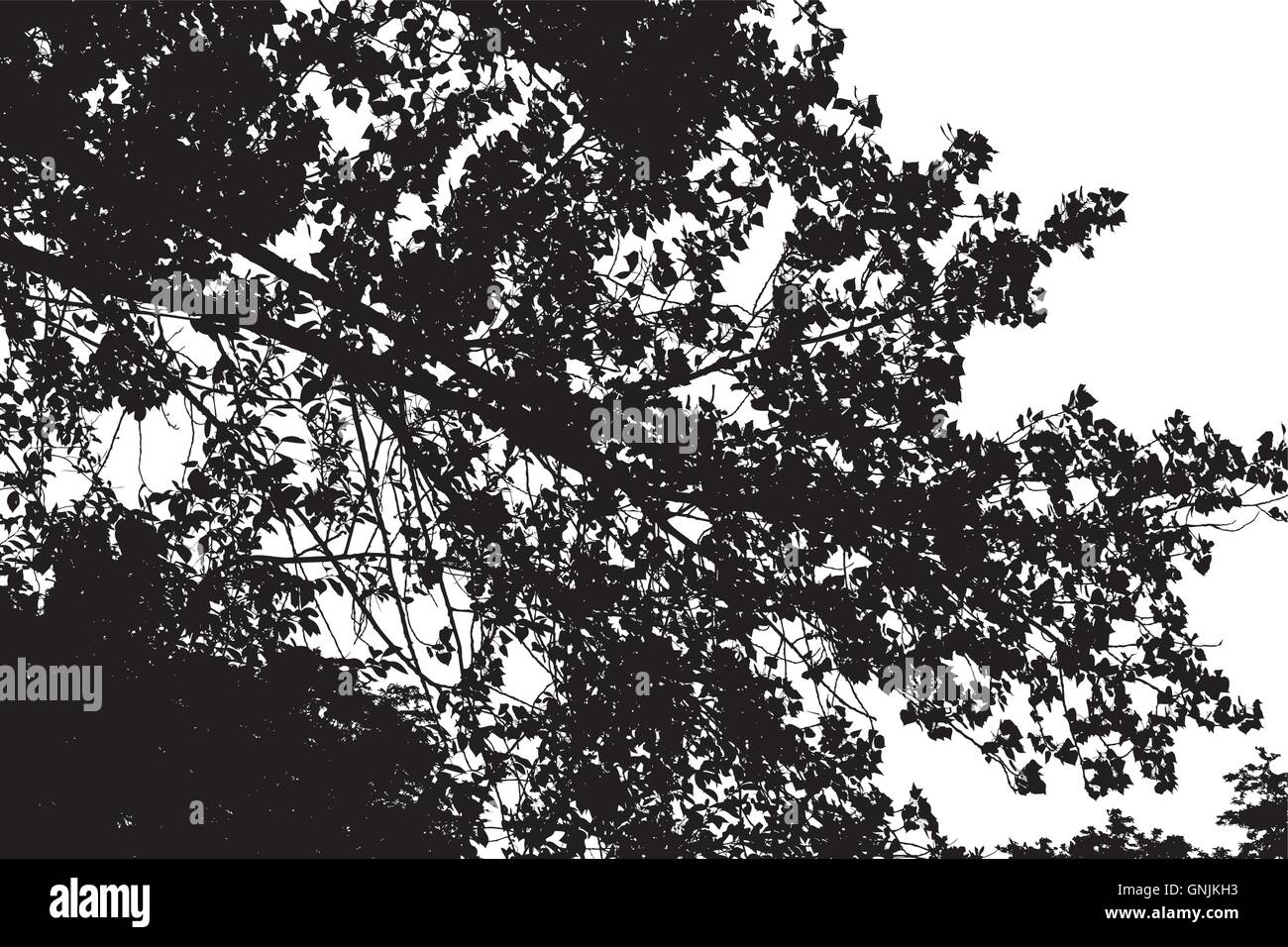 Tree Branches Background Stock Vector Image & Art - Alamy