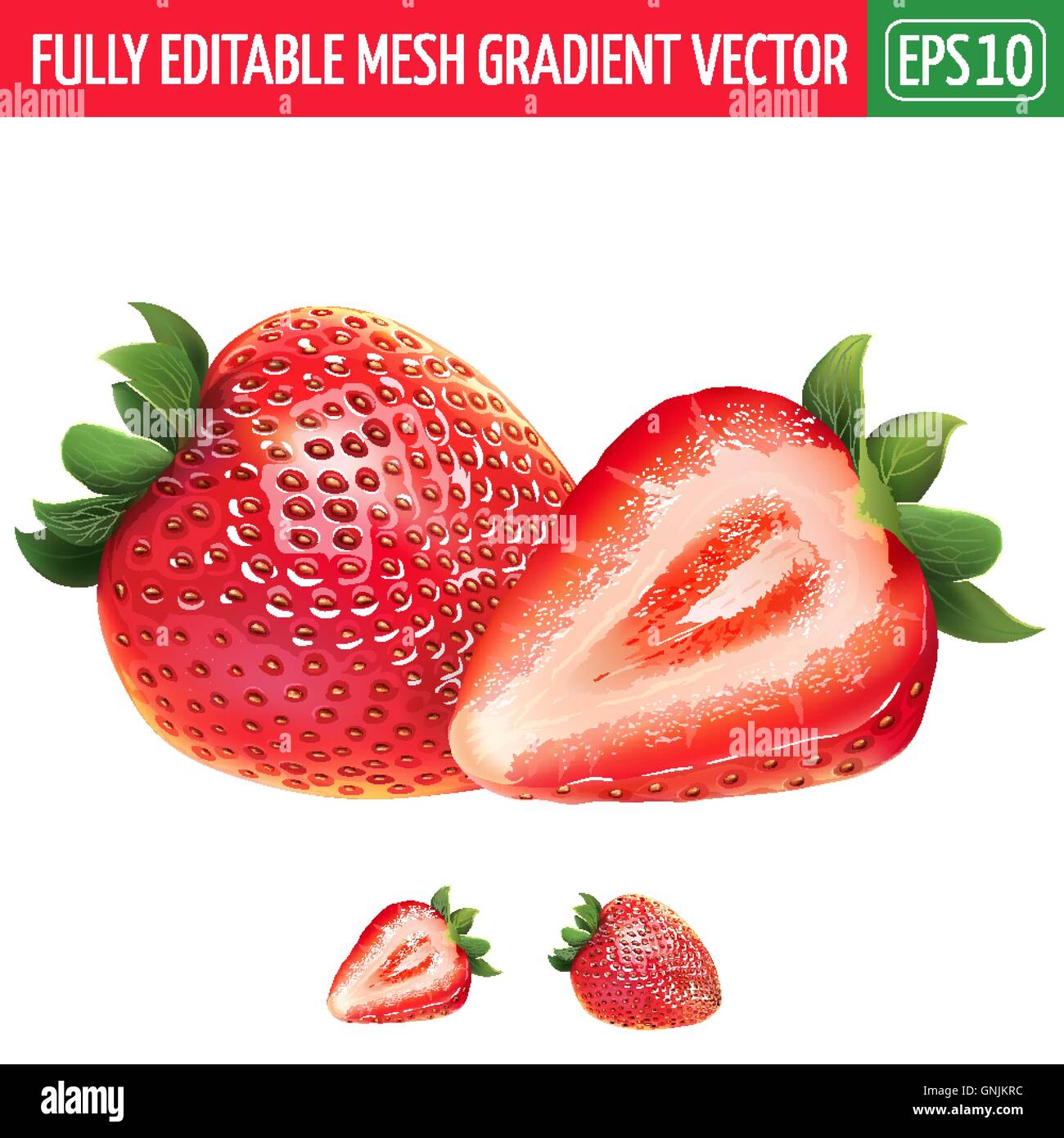 Strawberry on white background. Vector illustration Stock Vector Image ...