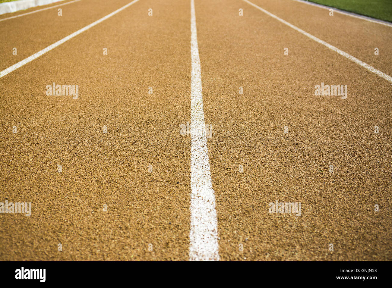 Beige arena hi-res stock photography and images - Alamy