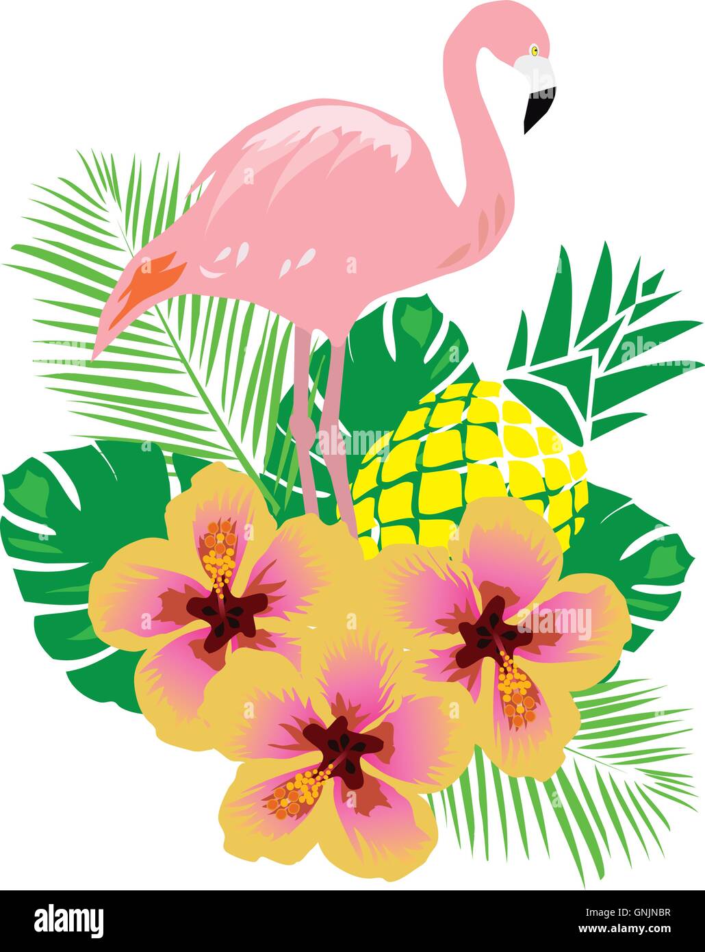 Vector Flamingo Bird Stock Vector Image And Art Alamy