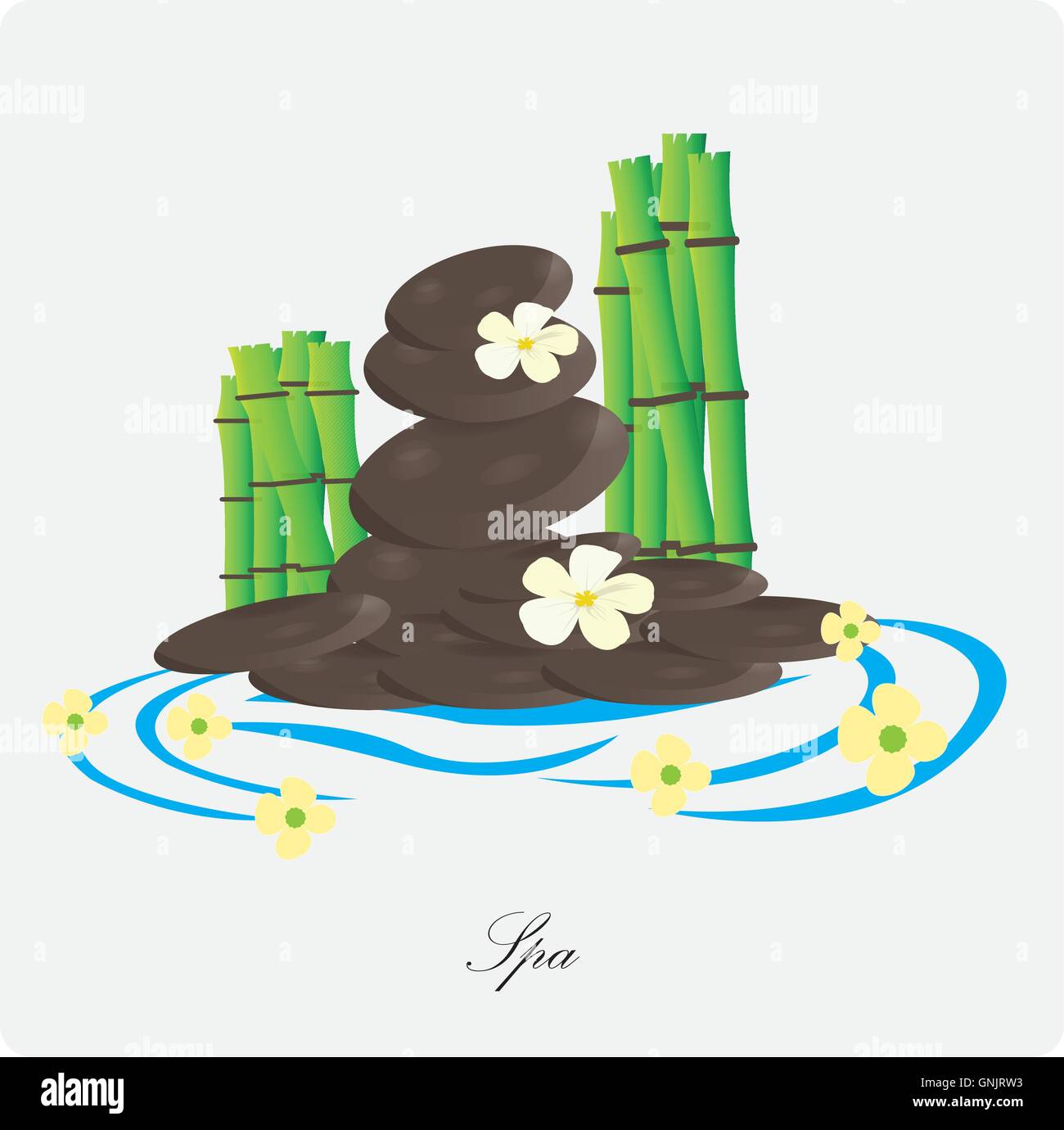 White flowers on stones Stock Vector Images - Alamy