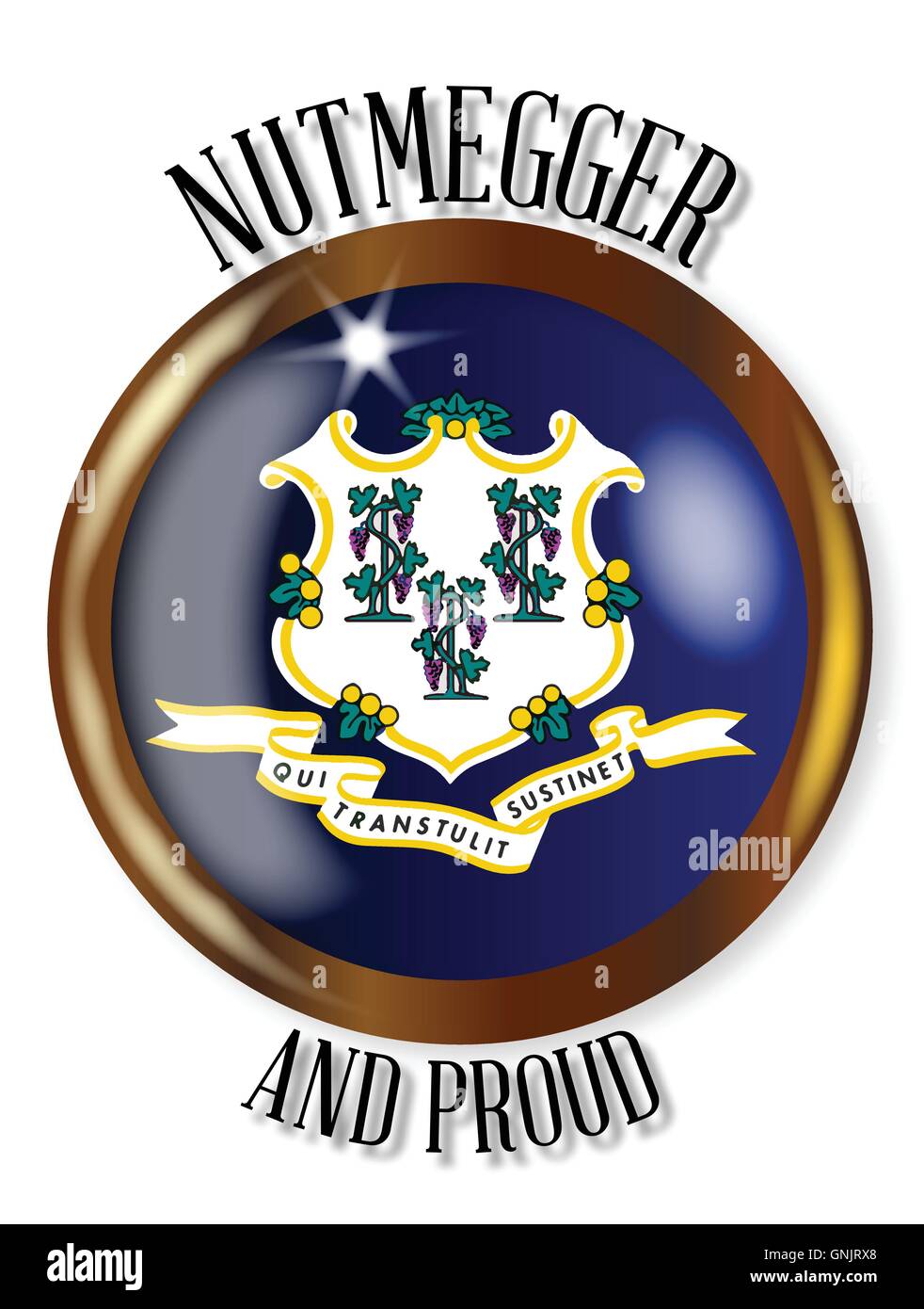 State flag connecticut Stock Vector Images - Alamy