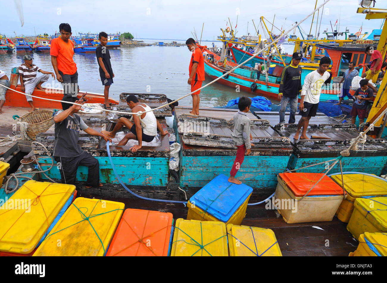 Lhouksemawe, Indonesia. 30th Aug, 2016. Fishermen move the fish from ...