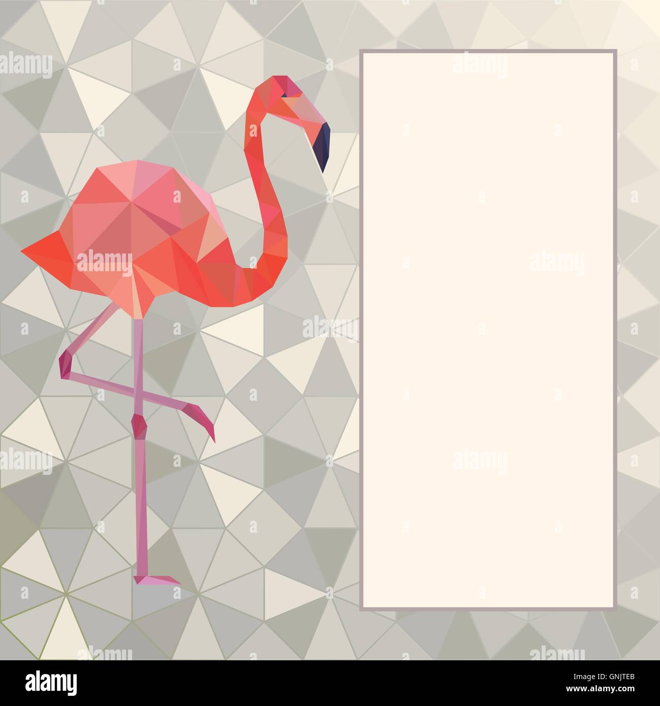 Greeting card template with pink flamingo Stock Vector Image & Art - Alamy