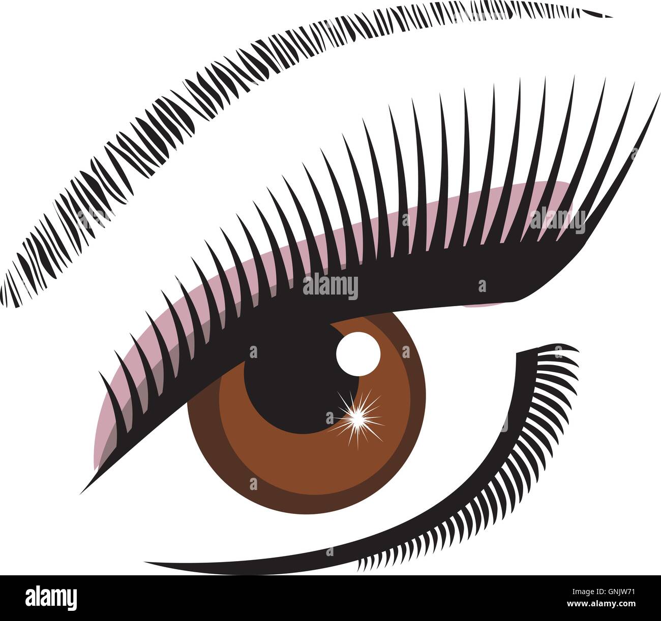 Vector Beautiful Eye Stock Vector Image & Art - Alamy
