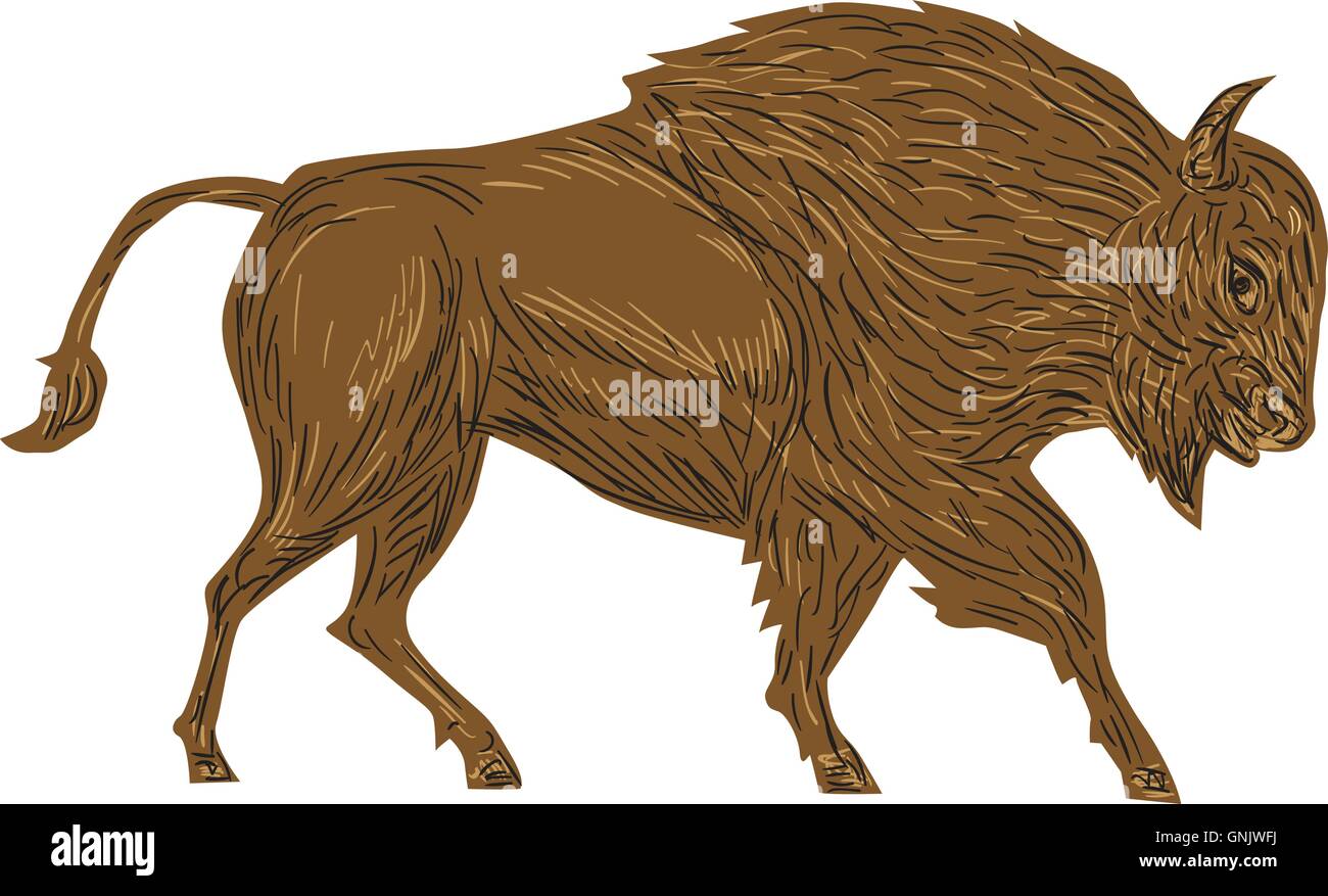 North American Bison Buffalo Charging Retro Stock Vector Image & Art ...