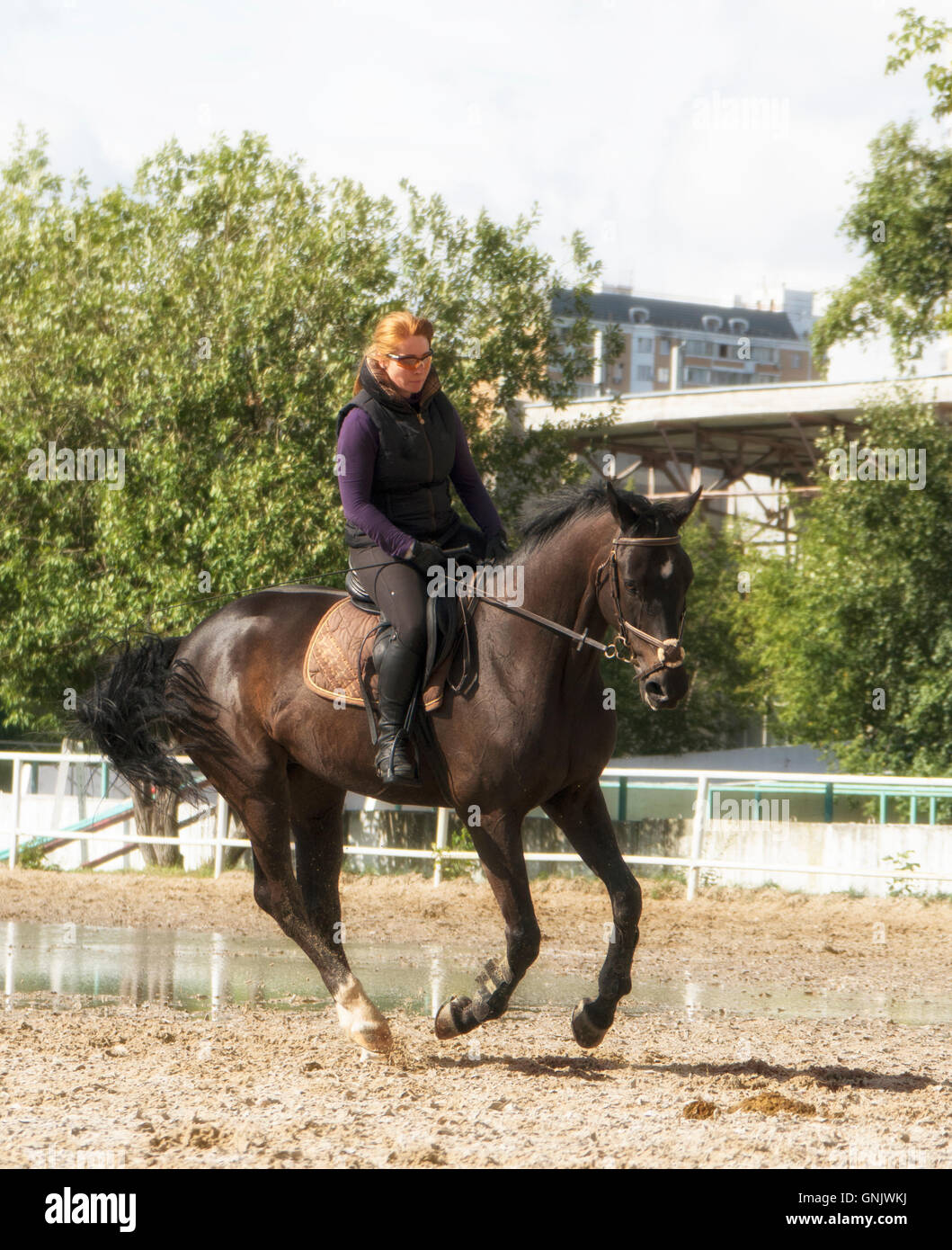 Girl riding a horse Stock Photo - Alamy
