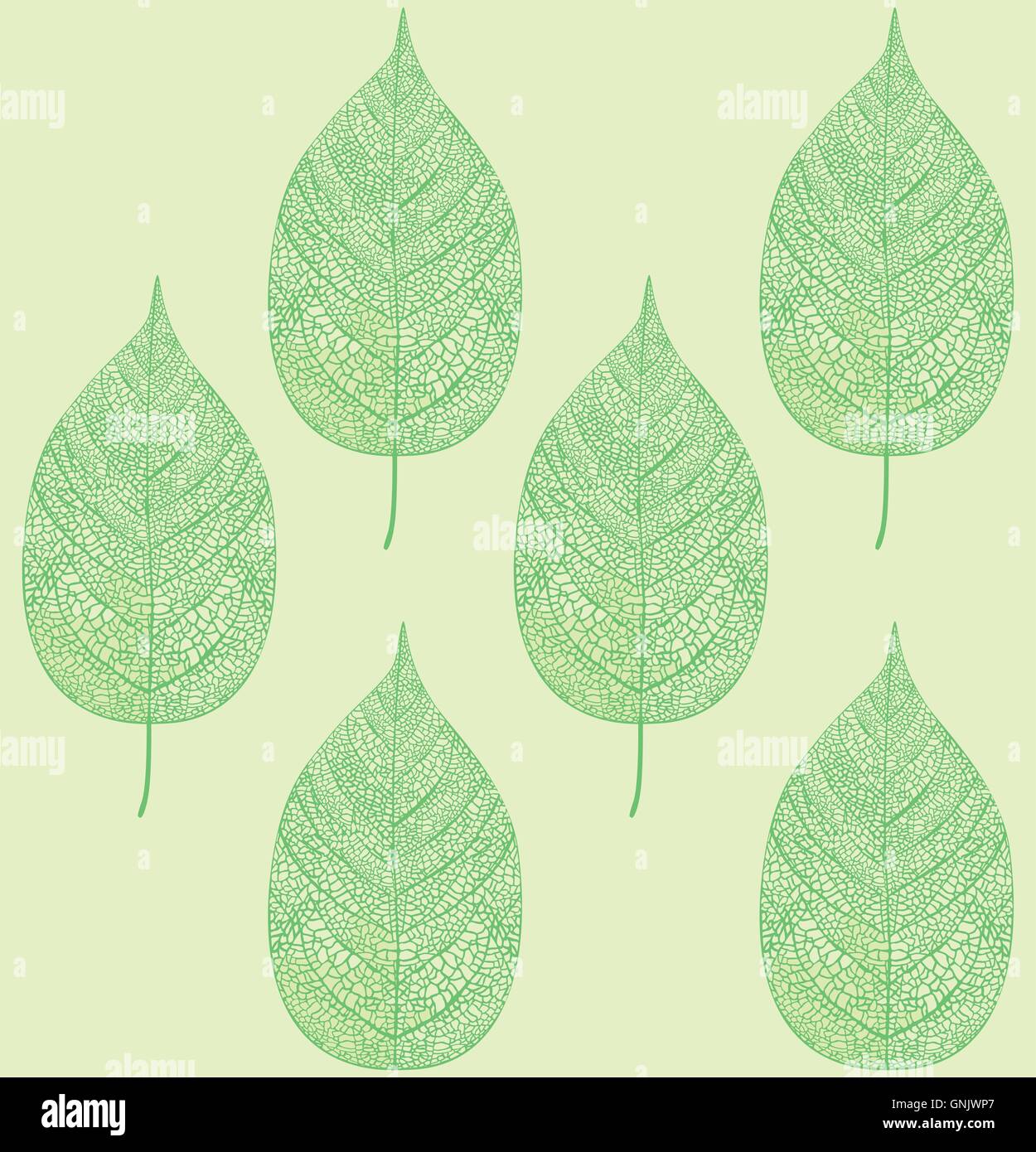 Leaf pattern hi-res stock photography and images - Alamy
