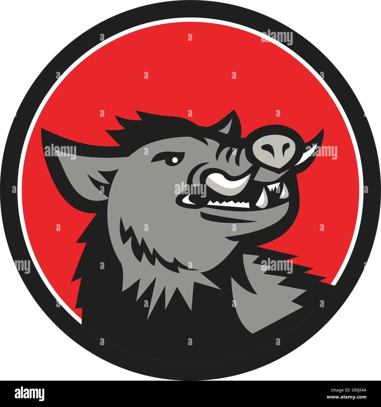 Side view of wild boar Stock Vector Images - Alamy