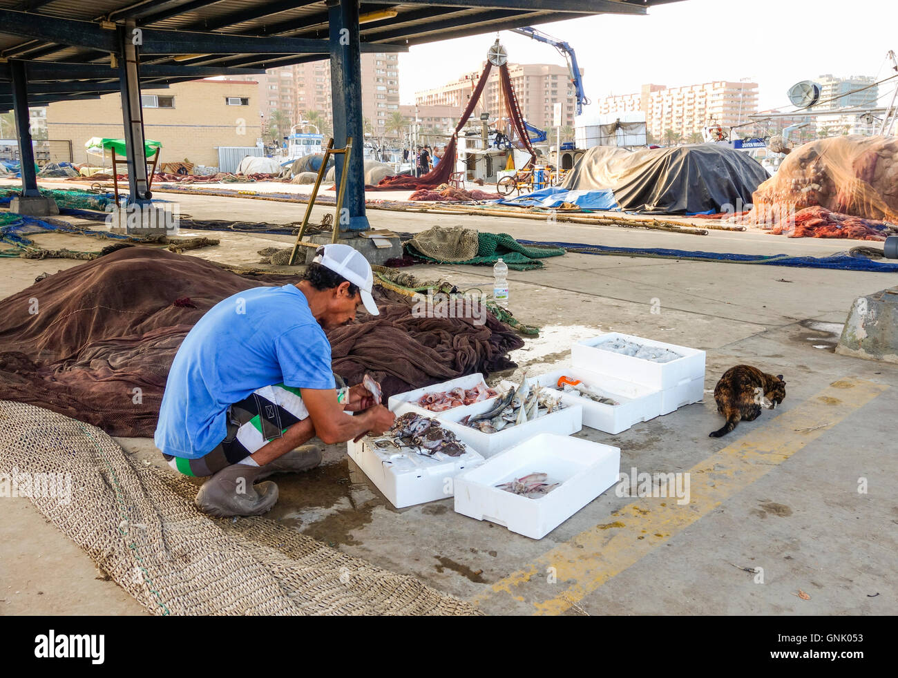 Cleaning fish hi-res stock photography and images - Alamy