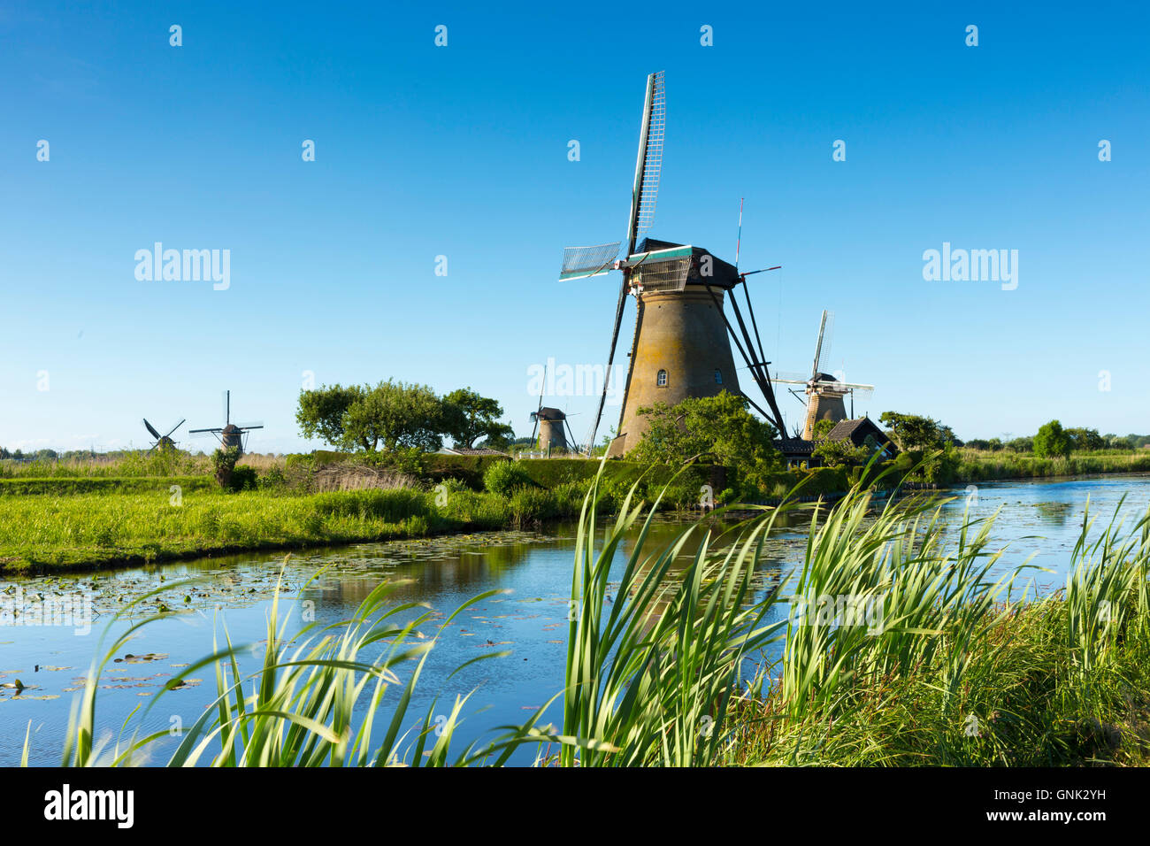 Group of authentic windmills at Kinderdijk UNESCO World Heritage Site ...