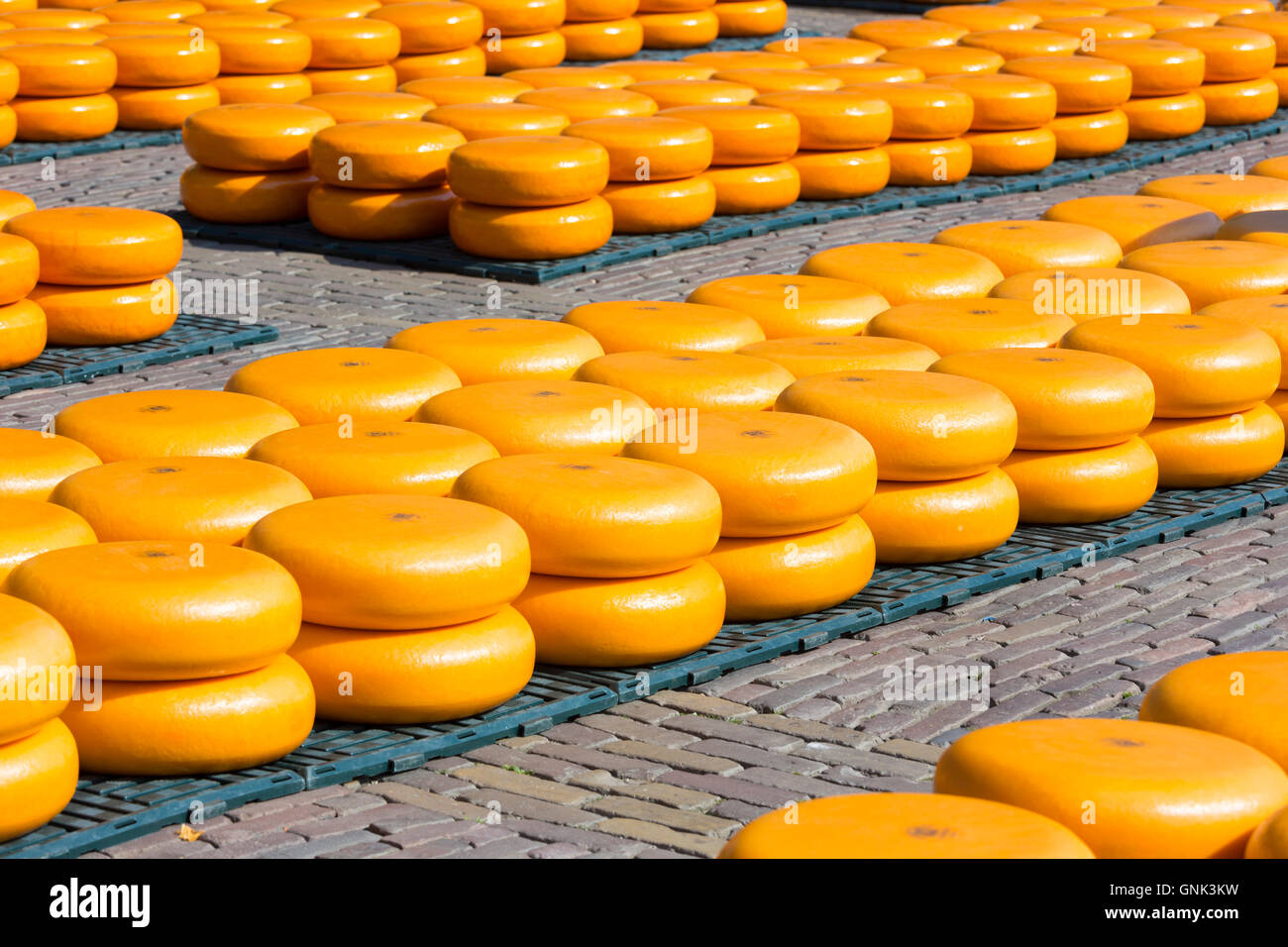 Traditional wheels of Gouda cheese on display on cobblestones at ...