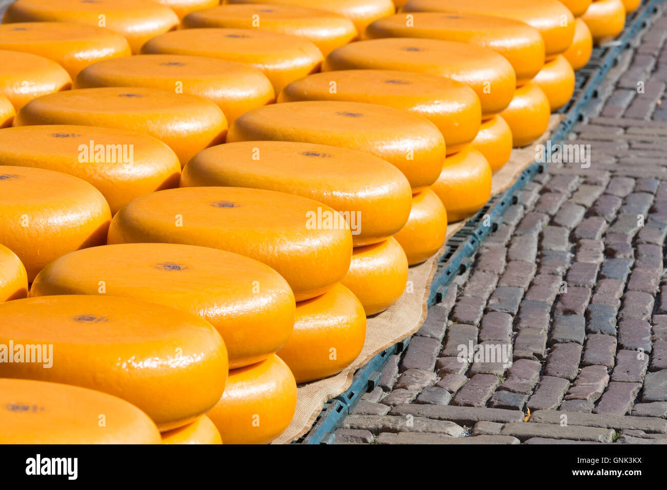 Traditional wheels of Gouda cheese on display on cobblestones at ...