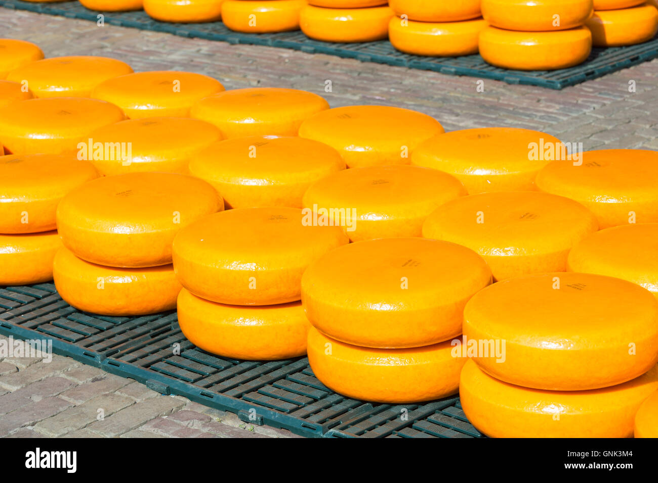 Traditional wheels of Gouda cheese on display on cobblestones at ...