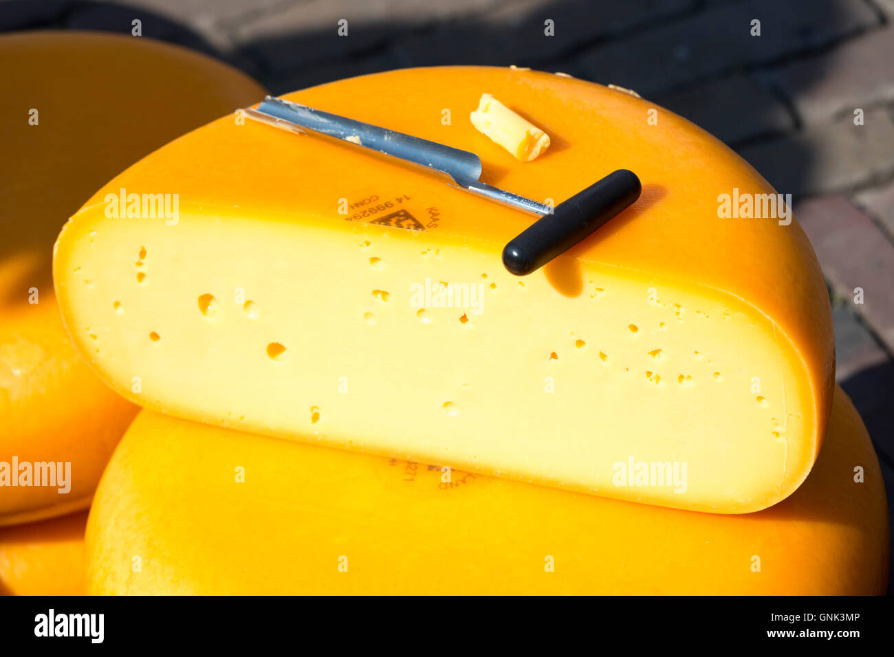 Sample of Gouda wheel being sampled by a cheese scoop at Alkmaar cheese ...
