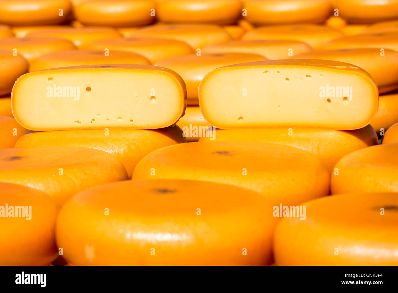 Traditional wheels of Gouda cheese on display on cobblestones at ...