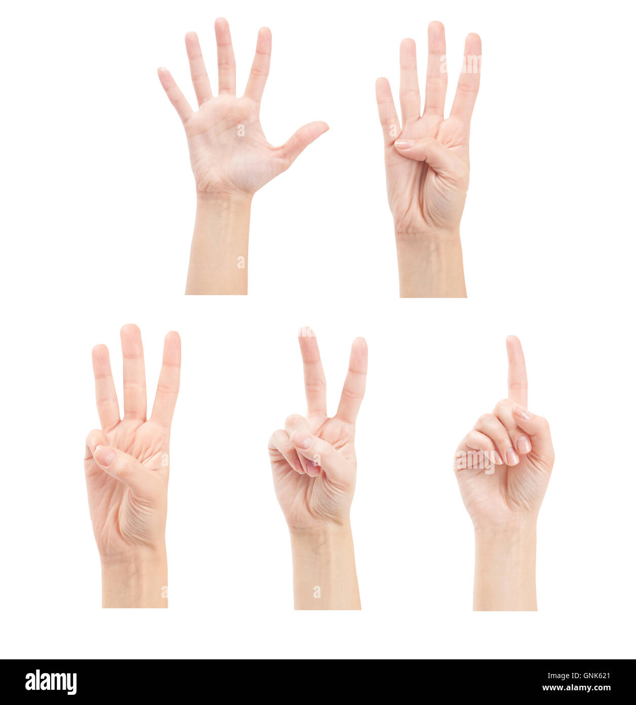 Counting woman hands (1 to 5) isolated on white background Stock Photo ...