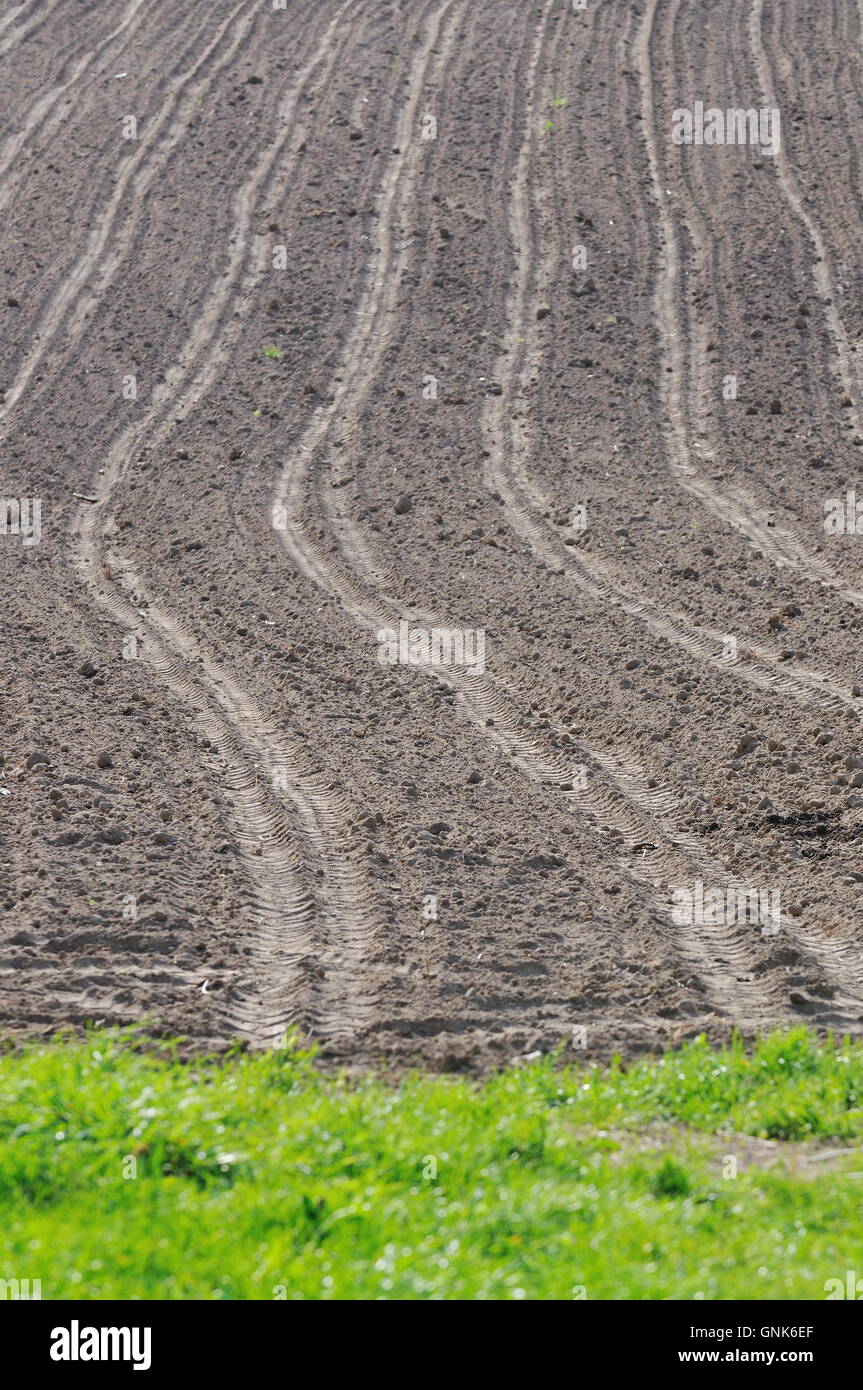 rural field farming Stock Photo - Alamy