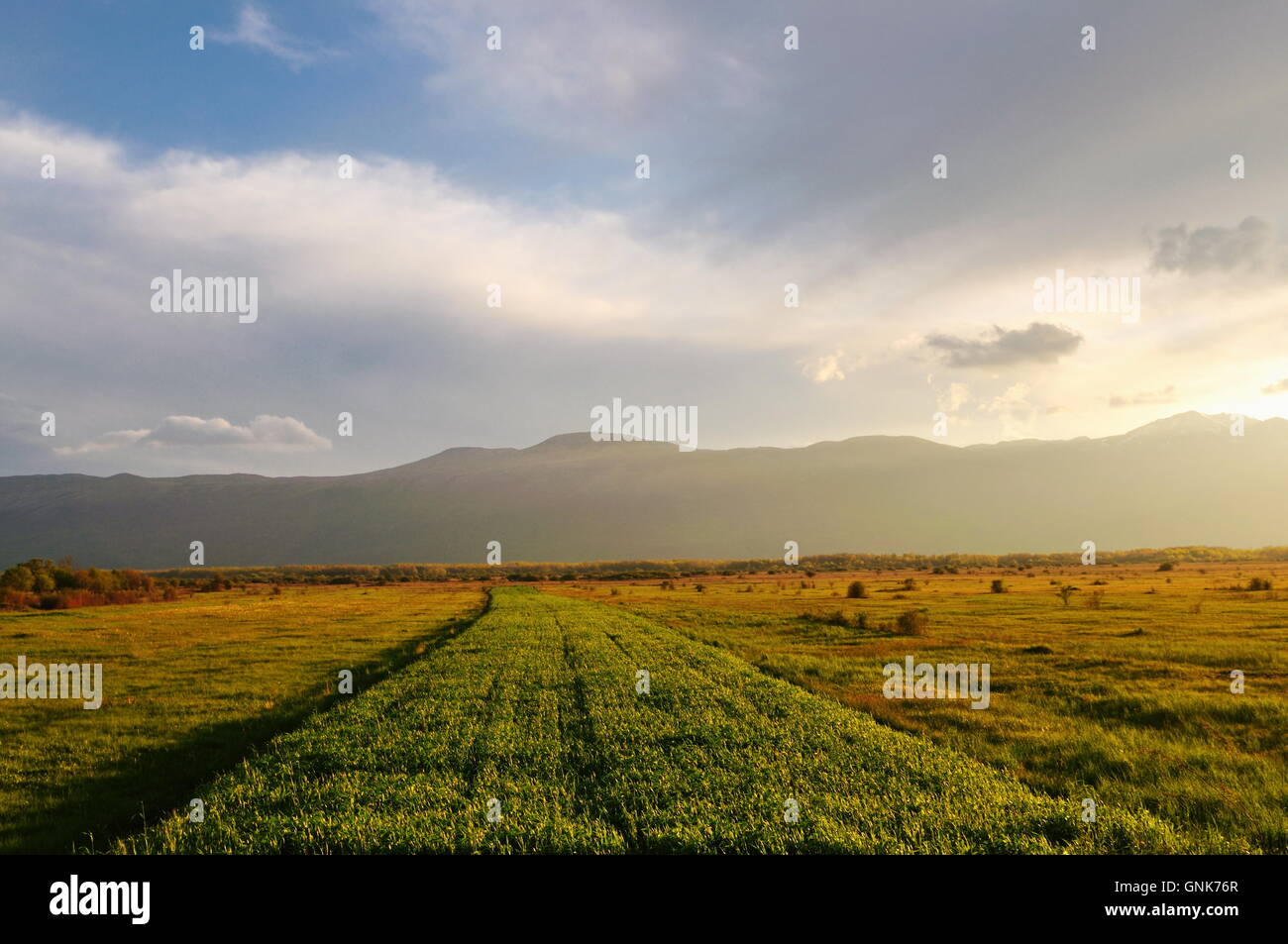 beautiful sunset in nature Stock Photo - Alamy