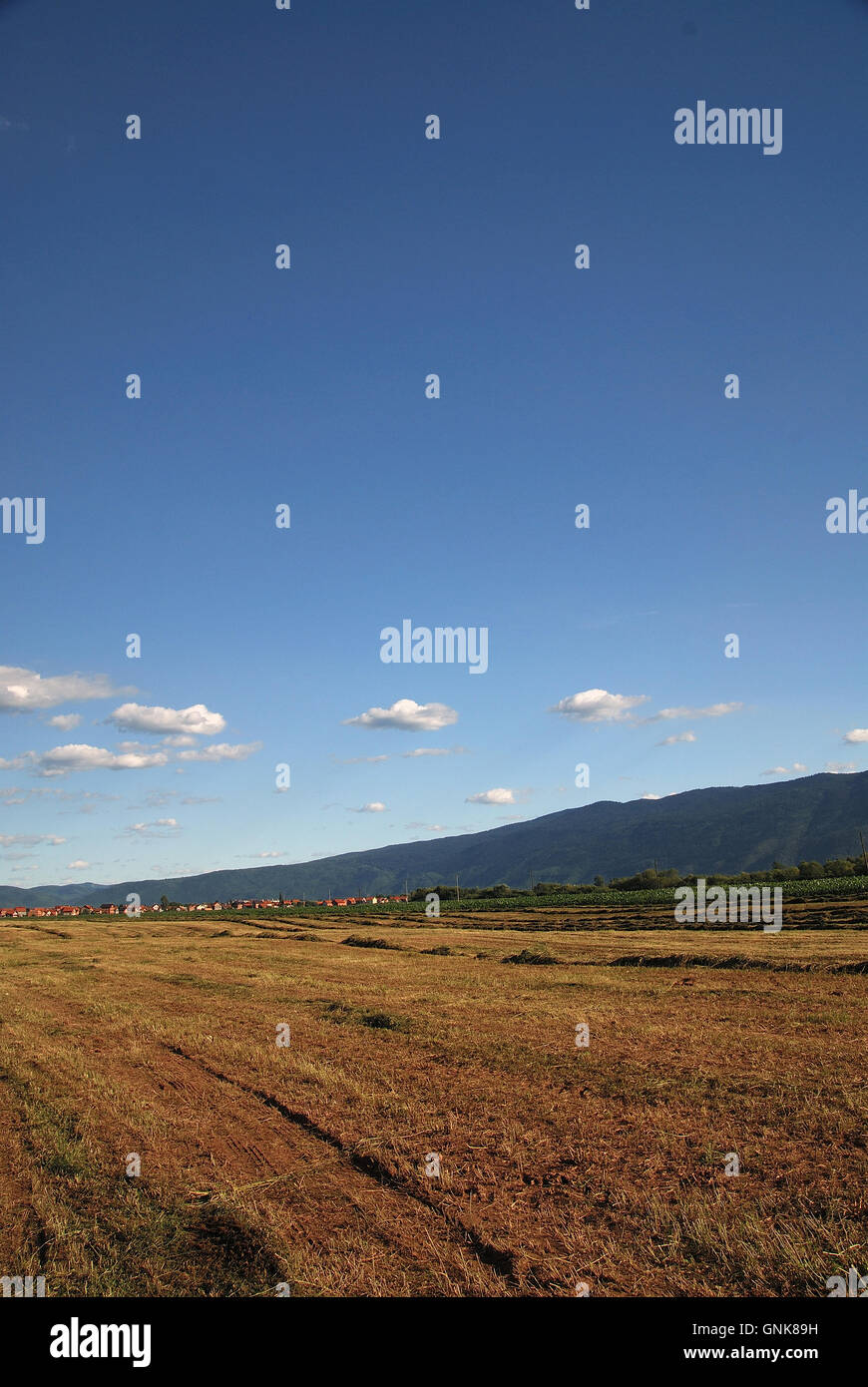 sunny day and dramatic sky Stock Photo - Alamy