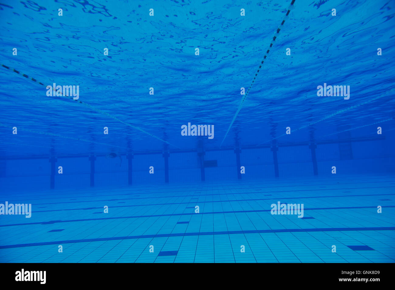 swimming pool underwater Stock Photo - Alamy