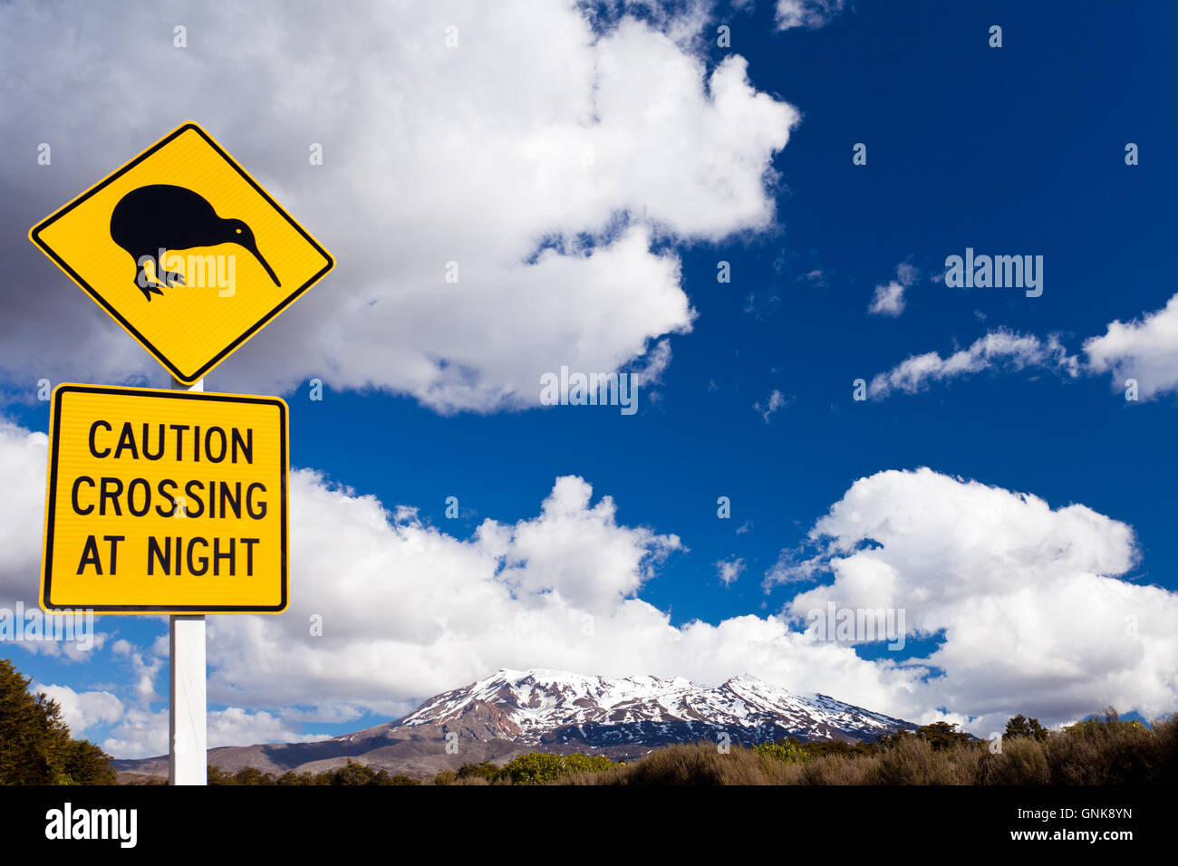 Kiwi Crossing road sign and volcano Ruapehu NZ Stock Photo - Alamy