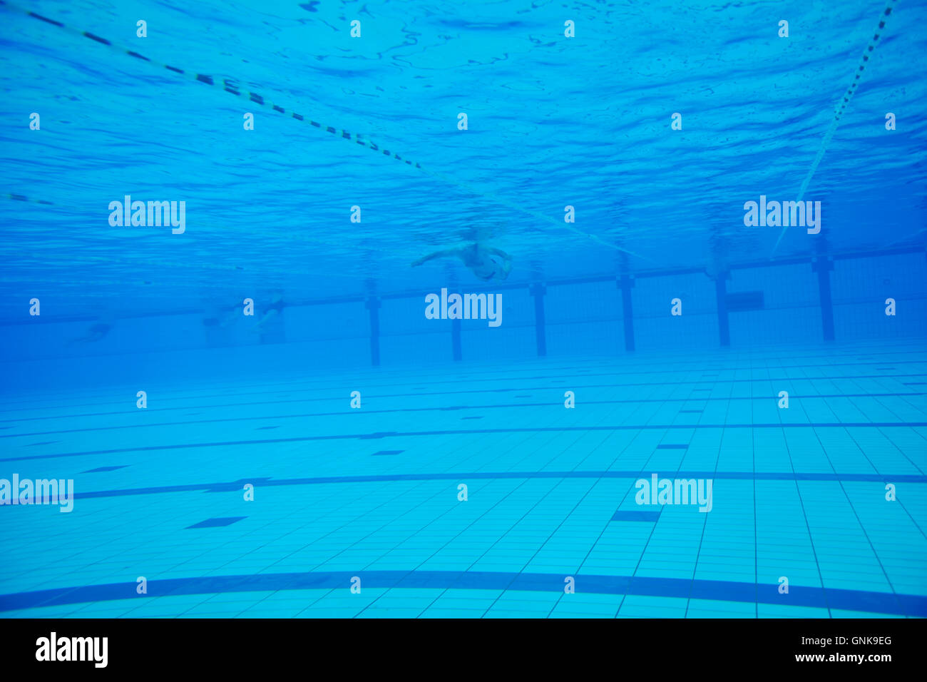 swimming pool underwater Stock Photo - Alamy