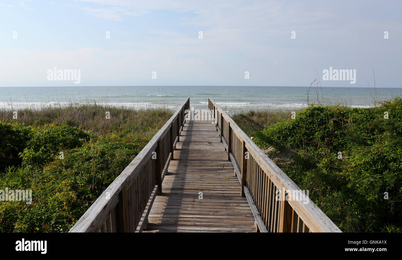 Boardwalk through dune landscape hi-res stock photography and images ...