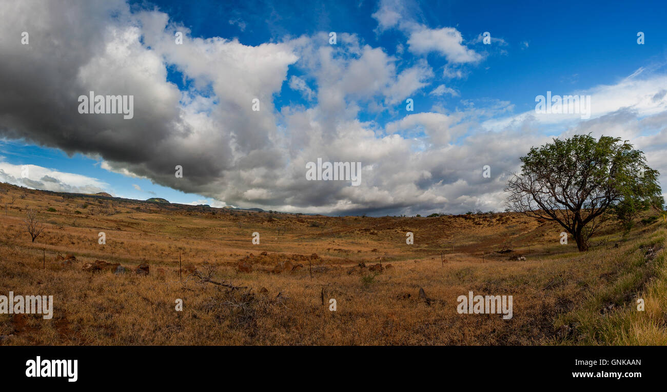 Beautiful landscape tree cloudy sky hi-res stock photography and images ...