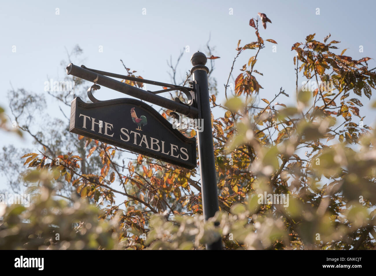Old hanging sign with horse hi-res stock photography and images - Alamy